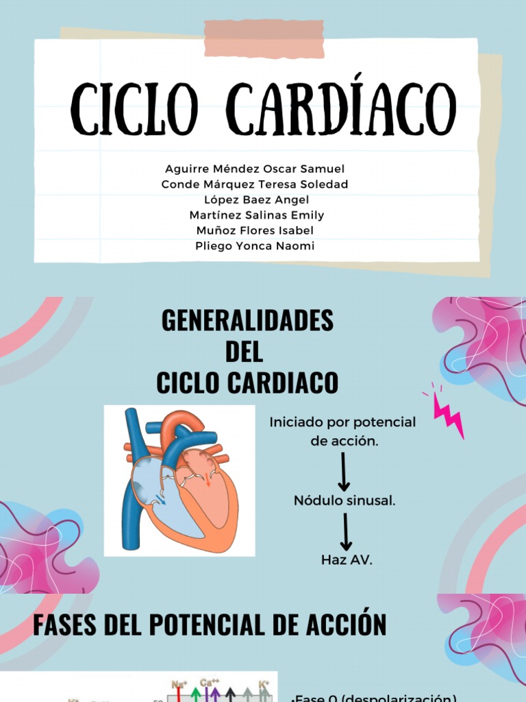 CIclo Cardiaco | PDF