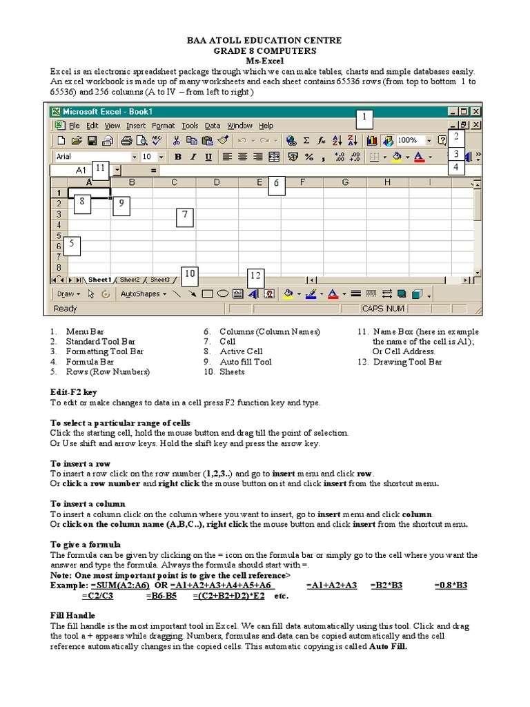 Excel Notes For GRD 8 | PDF | Microsoft Excel | Software Development