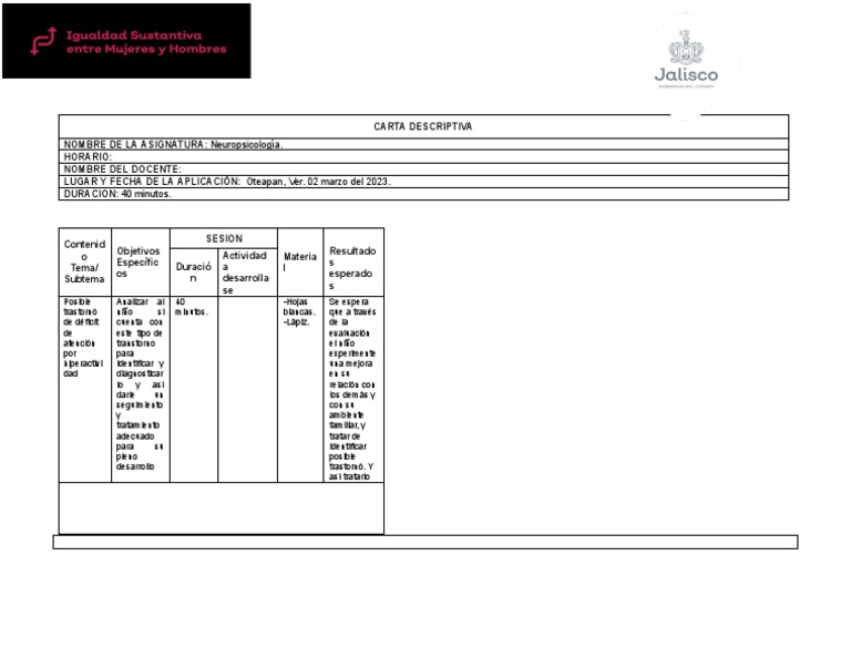 Carta Descriptiva PDF | PDF