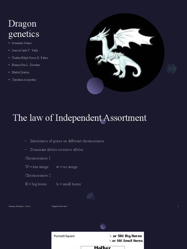 Dragon Genetics | PDF | Genetic Linkage | Dominance (Genetics)