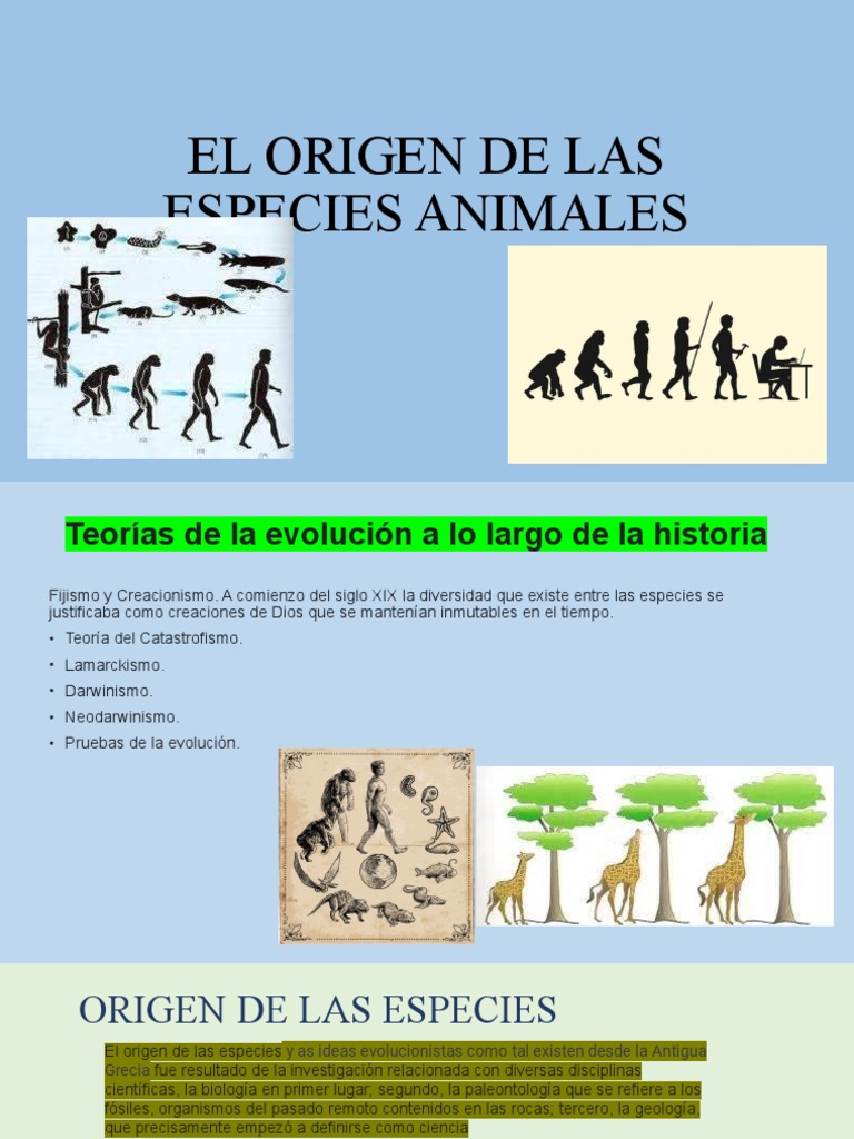 El Origen de Las Especies Animales | PDF | Evolución | Especies