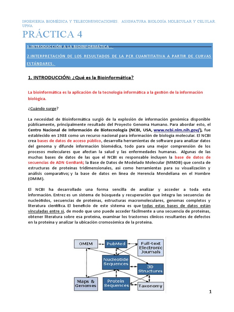 PRACTICA 4 - Bioinformática y Curvas Estándares Con QPCR - 1 | PDF | Centro Nacional de ...