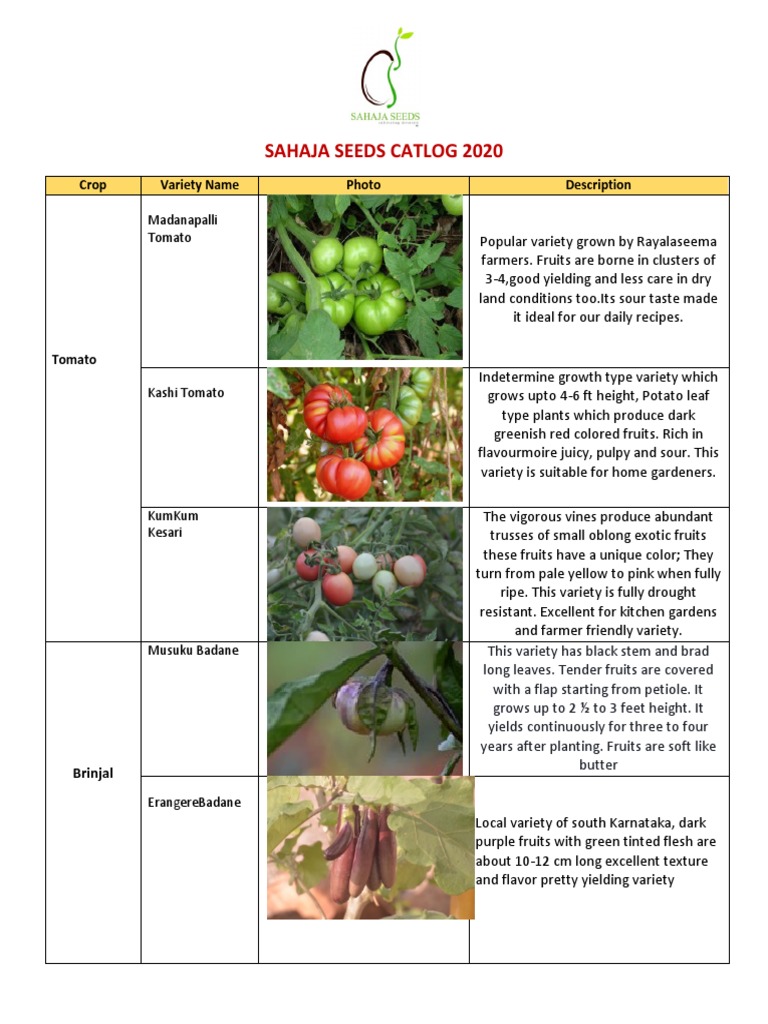 Desi Seeds | PDF | Carrot | Vegetables