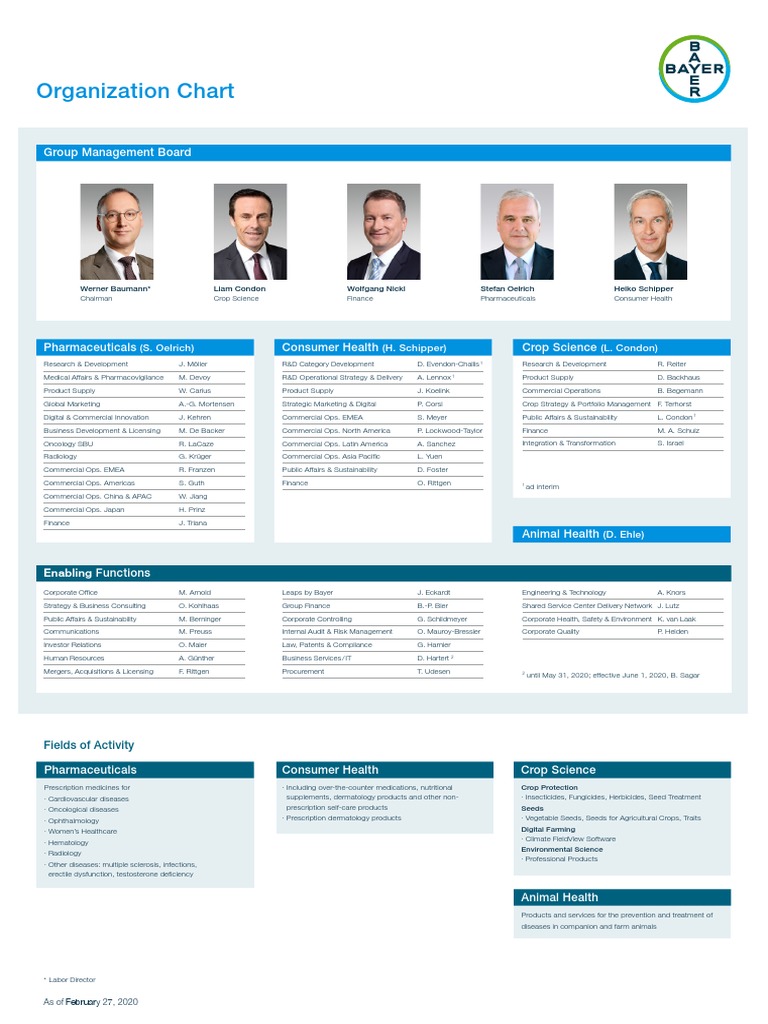 Estructura Organizacional - Bayer | PDF | Agriculture | Prescription Drugs