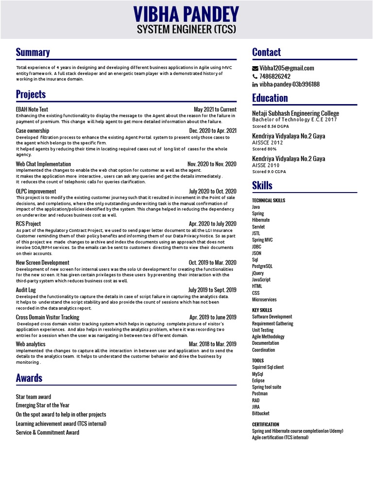 Vibha Pandey CV | PDF