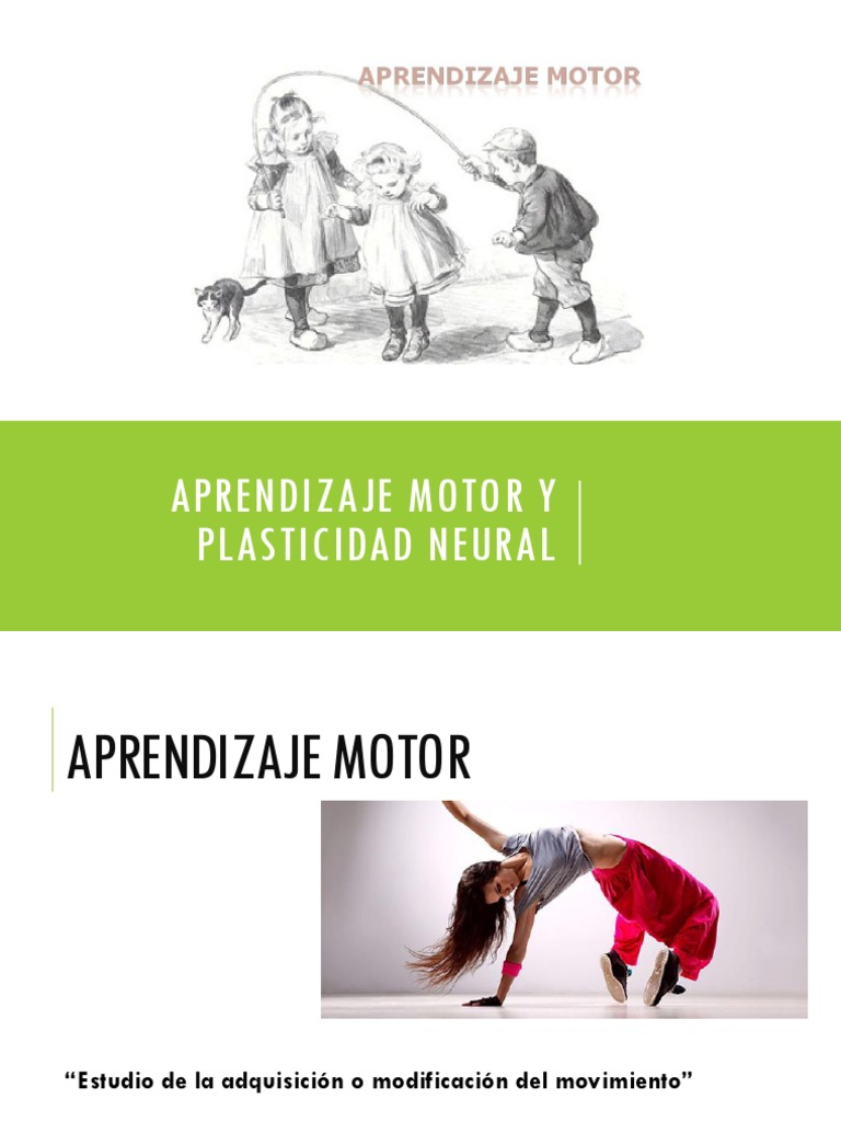 Aprendizaje Motor y Plasticidad Neural | PDF | Neuroplasticidad | Sinapsis