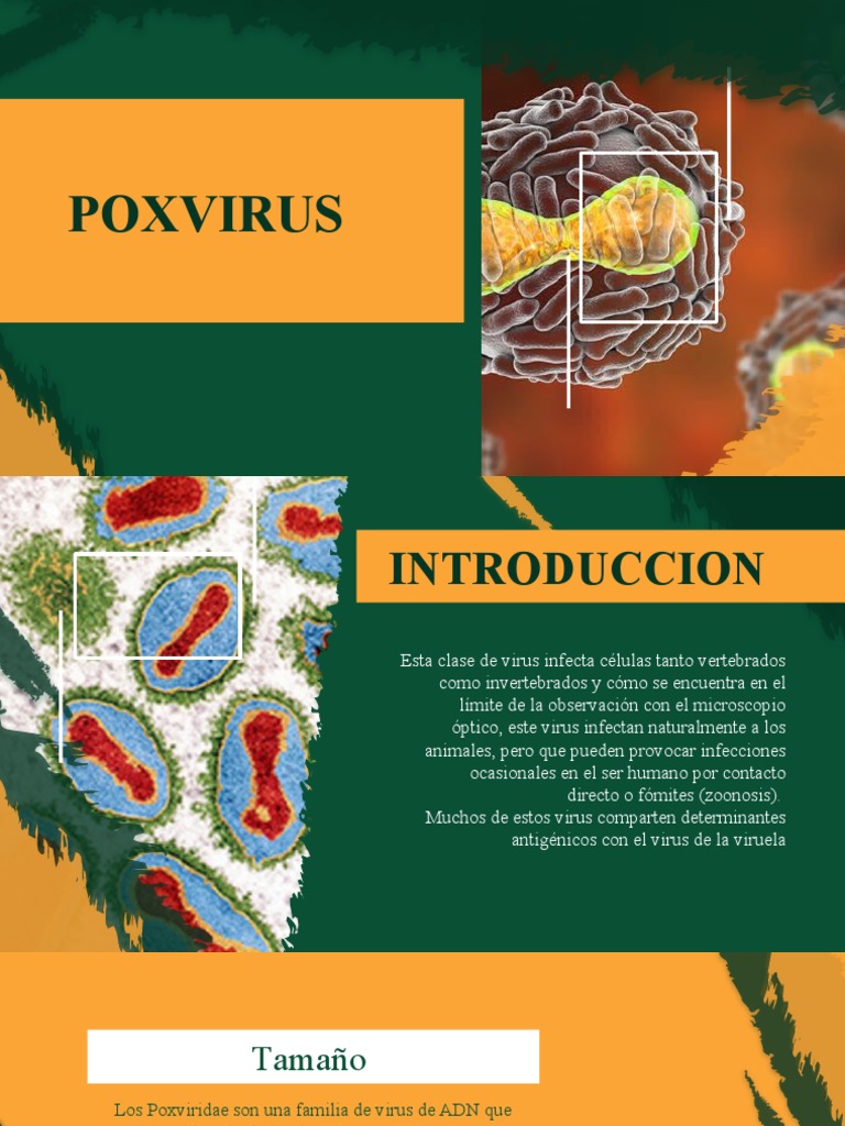 POXVIRUS | PDF | Virus | Nucleo celular