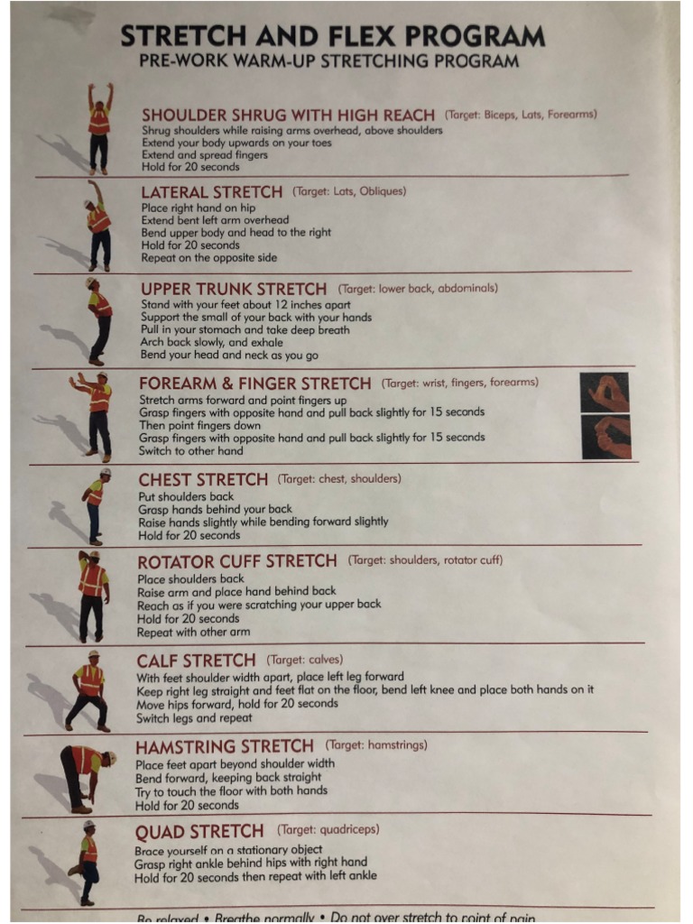 Stretch & Flex Program | PDF