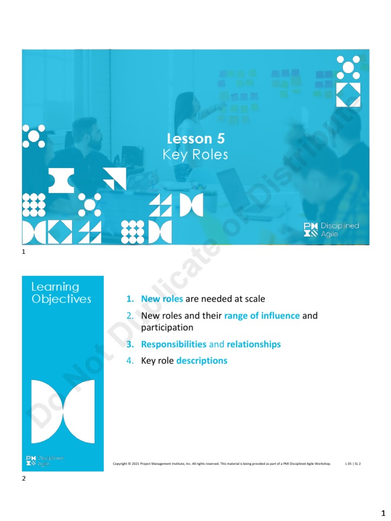 DAVSC Lesson05 KeyRoles PDF | PDF