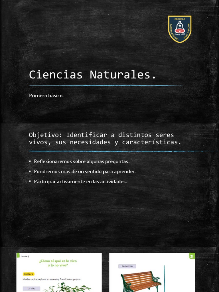 OA1 OA2 Necesidades de los seres vivos y carcateristicas 2604 | PDF