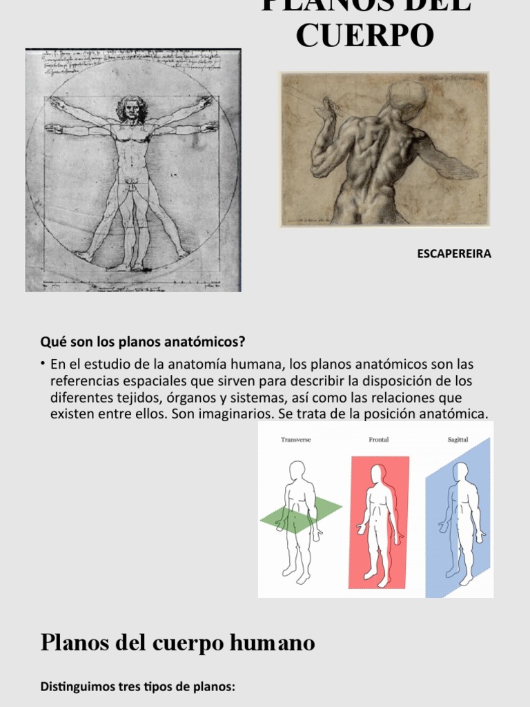 Planos y Ejes del Cuerpo Humano | PDF | Eje | Anatomía