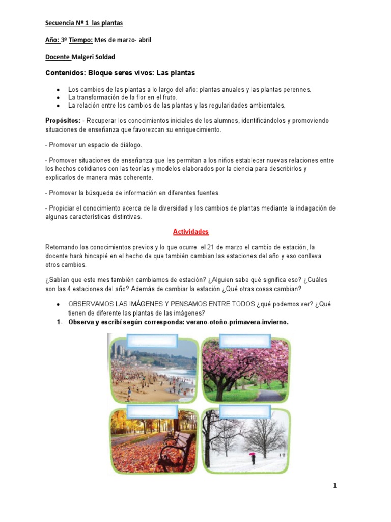 Cambios en las Plantas: Anuales y Perenes | PDF | Plantas | Flores