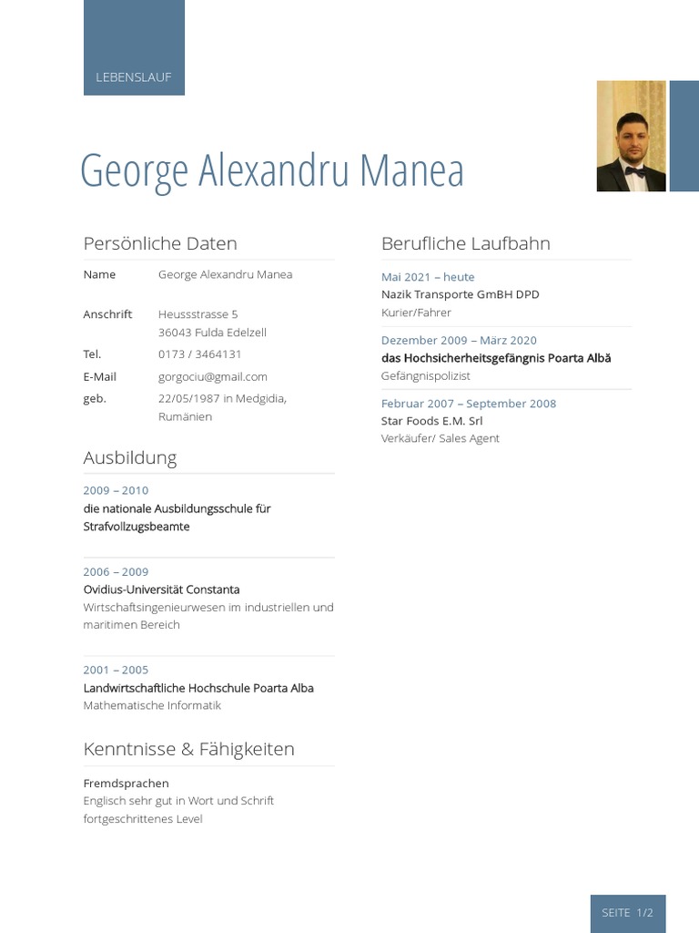 Lebenslauf George Manea PDF | PDF