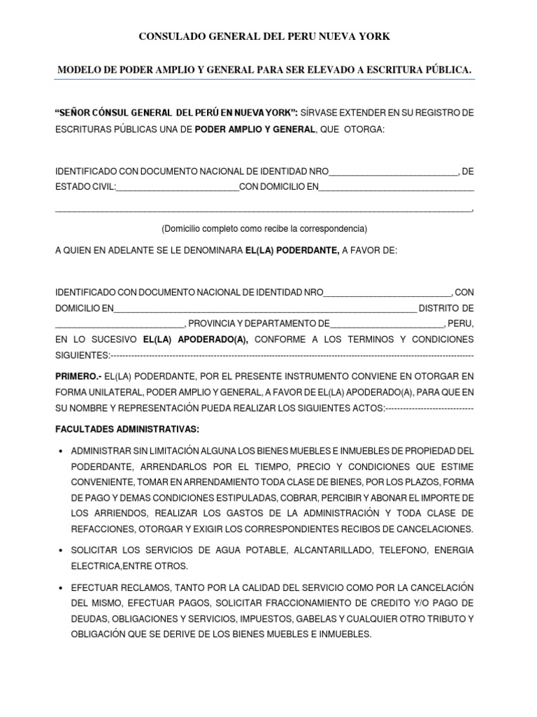 Ag1 - Modelo para Poder Amplio y General (Largo) PDF | PDF ...