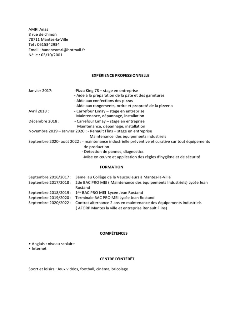 CV Anas PDF | PDF