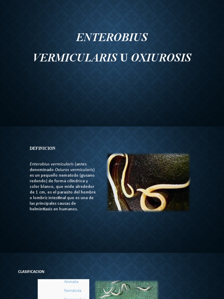 Enterobius Vermicularis | PDF