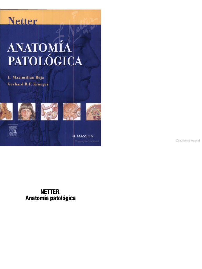 Anatomia Patologica Netter PDF | PDF