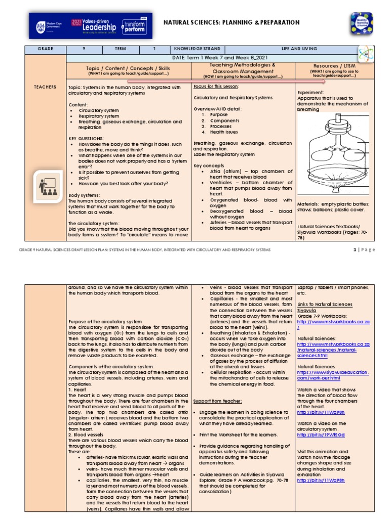 Lesson Plan - 1 Gr. 9 Natural Sciences T1 W7 & W8 | PDF | Respiratory ...