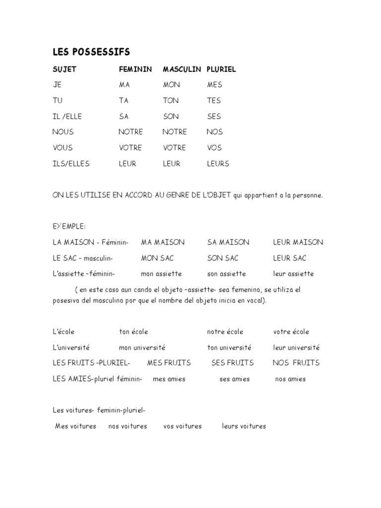 LES ADJECTIFS Possessifs Et Les Démonstratifs | PDF | Poésie