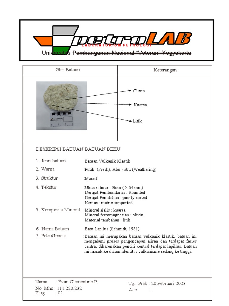 Lembar Deskrip Petro Piro Evan | PDF