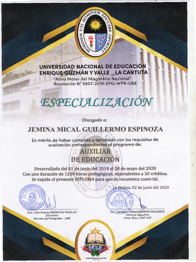 Certificado de Especializacion en Auxiliar en Educacion PDF | PDF