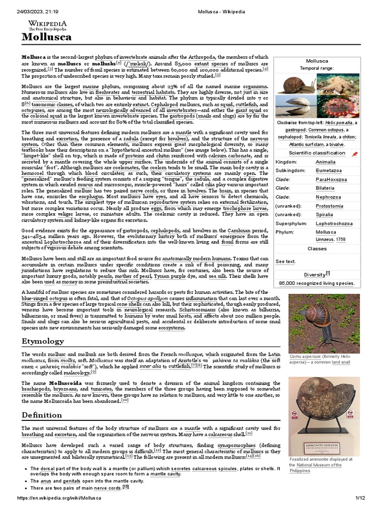 Mollusca 1 | PDF | Mollusca | Molluscs