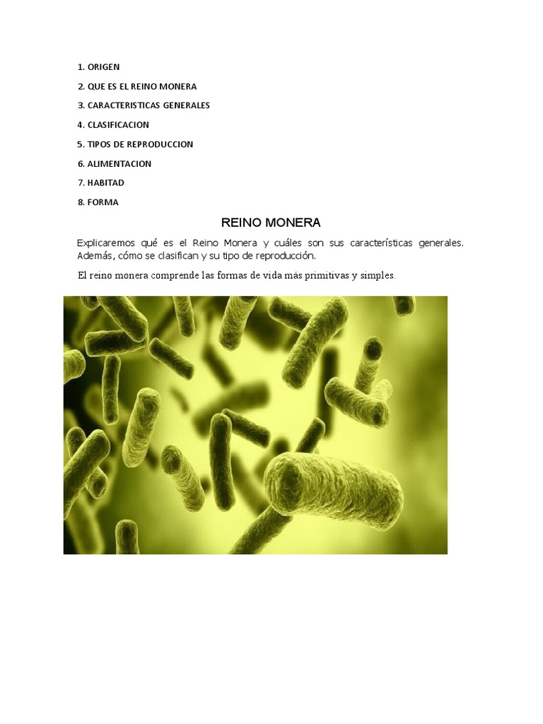 Exposicion Reino Monera | PDF | Las bacterias | Procariota