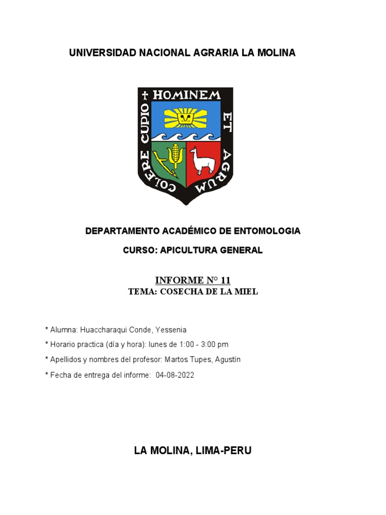 Informe 11 Cosecha De La Miel Pdf Colmena Apicultor
