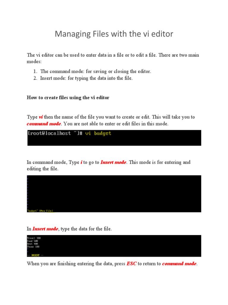 Managing Files With The VI Editor | PDF
