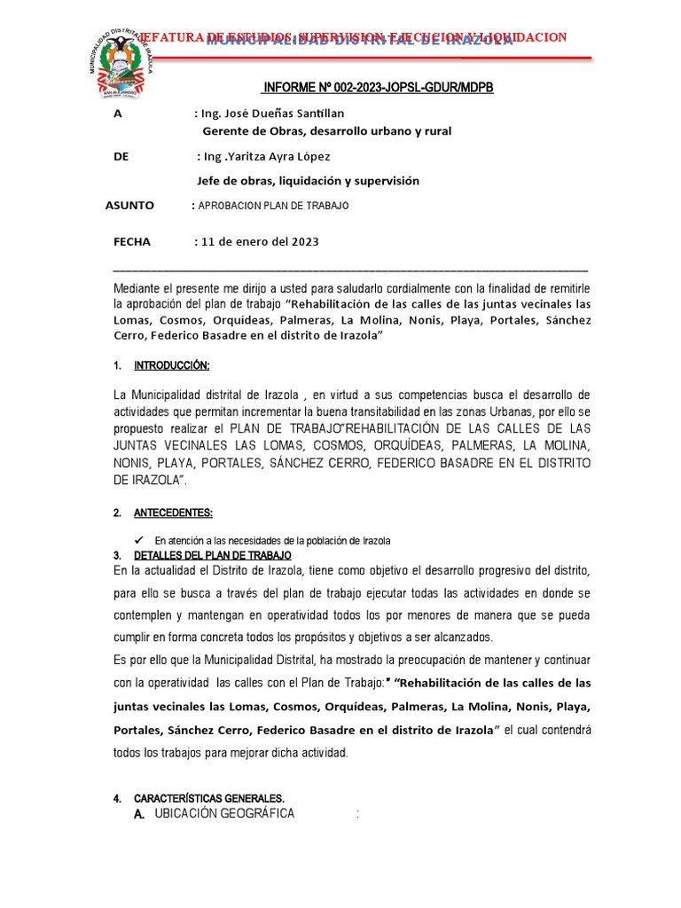 INFORME N°002-2023-ESEL-APROBACION PLAN DE TRABAJO | PDF