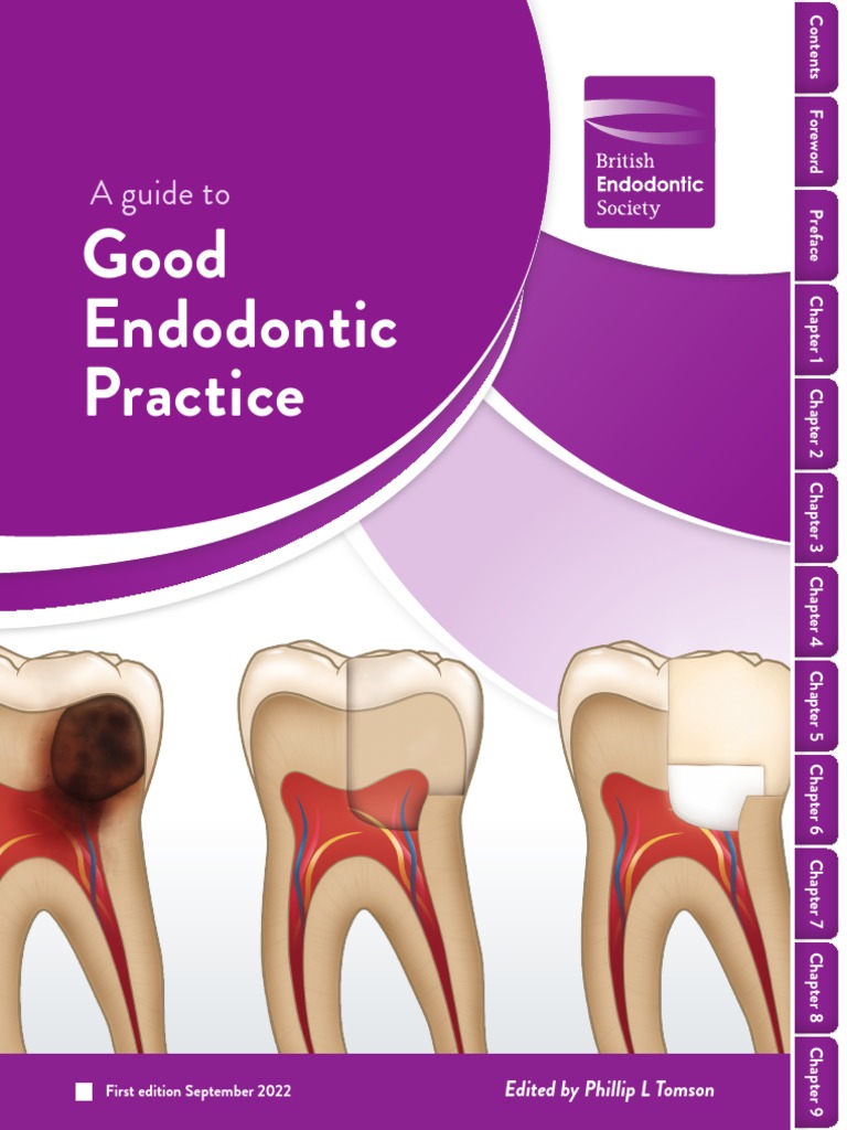 .Uk Userfilespagesfilesa4 Bes Guidelines 2022 Hyperlinked Final PDF ...