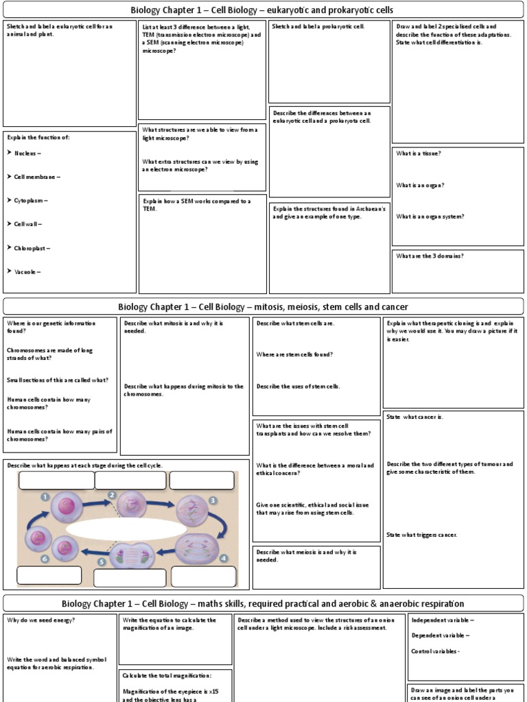 Biology Whole Mats | PDF | Cell (Biology) | Mitosis