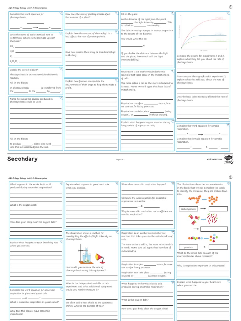 Aqa Biology Gcse Unit 4 4 Bioenergetics Higher Revision Activity Mat