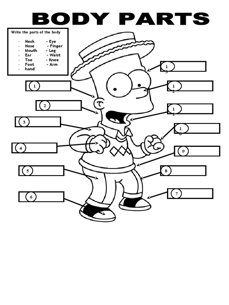 Part of Body Worksheet - Model 1 - Katulis - Com | PDF