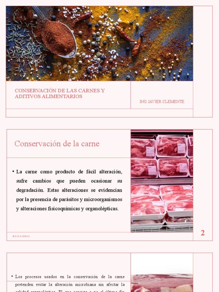 Conservación de Las Carnes y Aditivos Alimentarios | PDF | Carne ...
