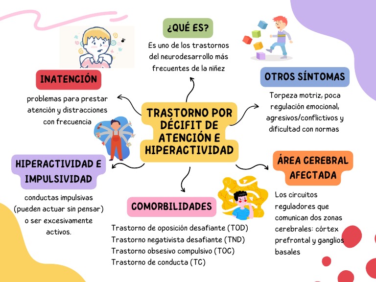 Una guía sobre los síntomas, causas y comorbilidades del Trastorno por Déficit de Atención e ...