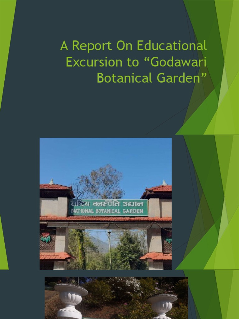 A Report On Educational Excursion | PDF | Trees | Plants
