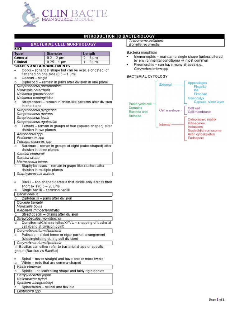 Introduction To Bacteriology | Descargar gratis PDF | Bacteria ...