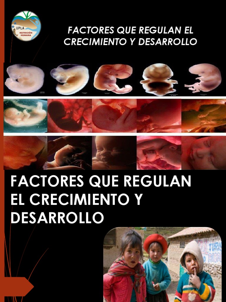 2.2. Factores Que Regulan El Crecimiento y Desarrollo Fetal PDF | PDF ...