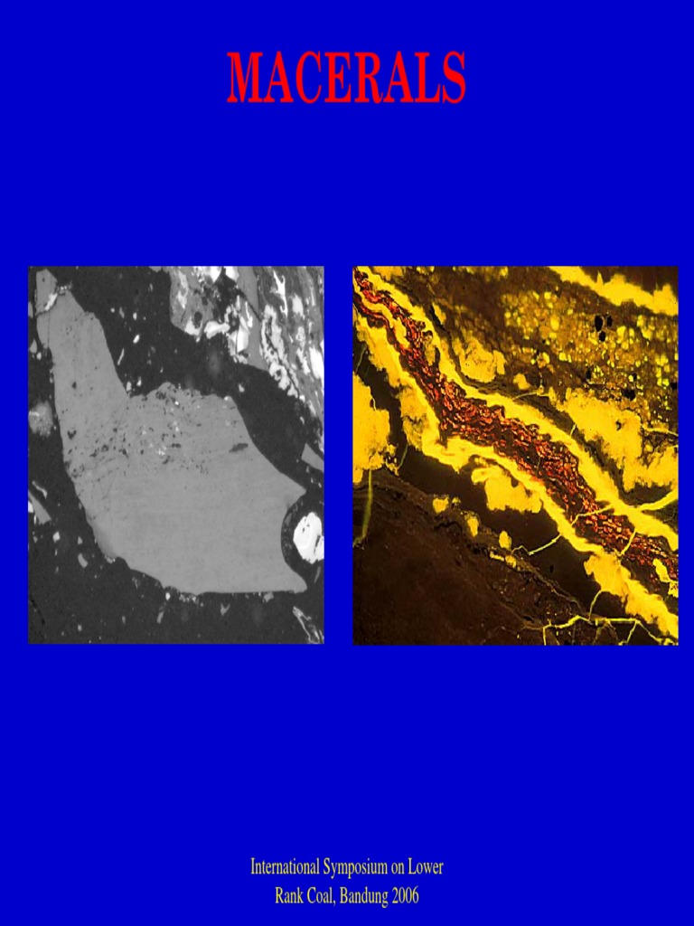 Coal Maceral PDF | PDF | Sedimentology | Chemical Substances