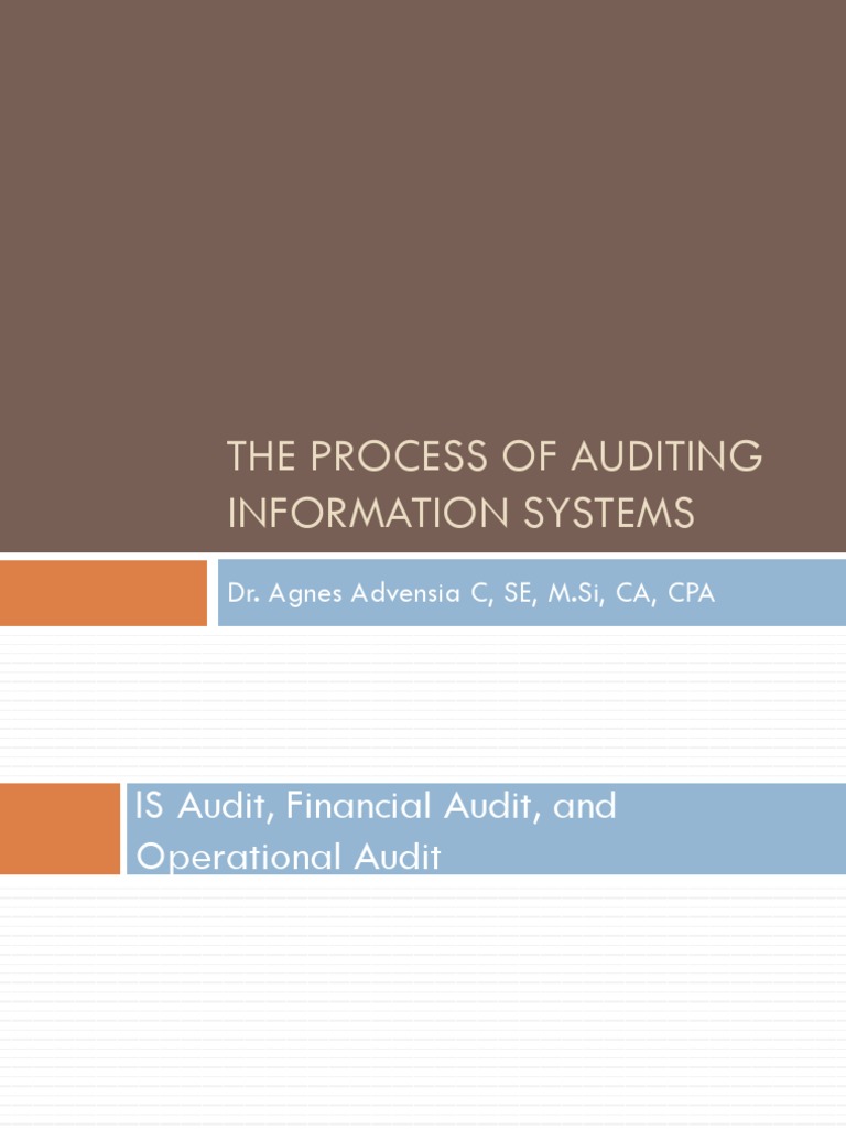 The Process of Auditing Information Systems PDF | PDF