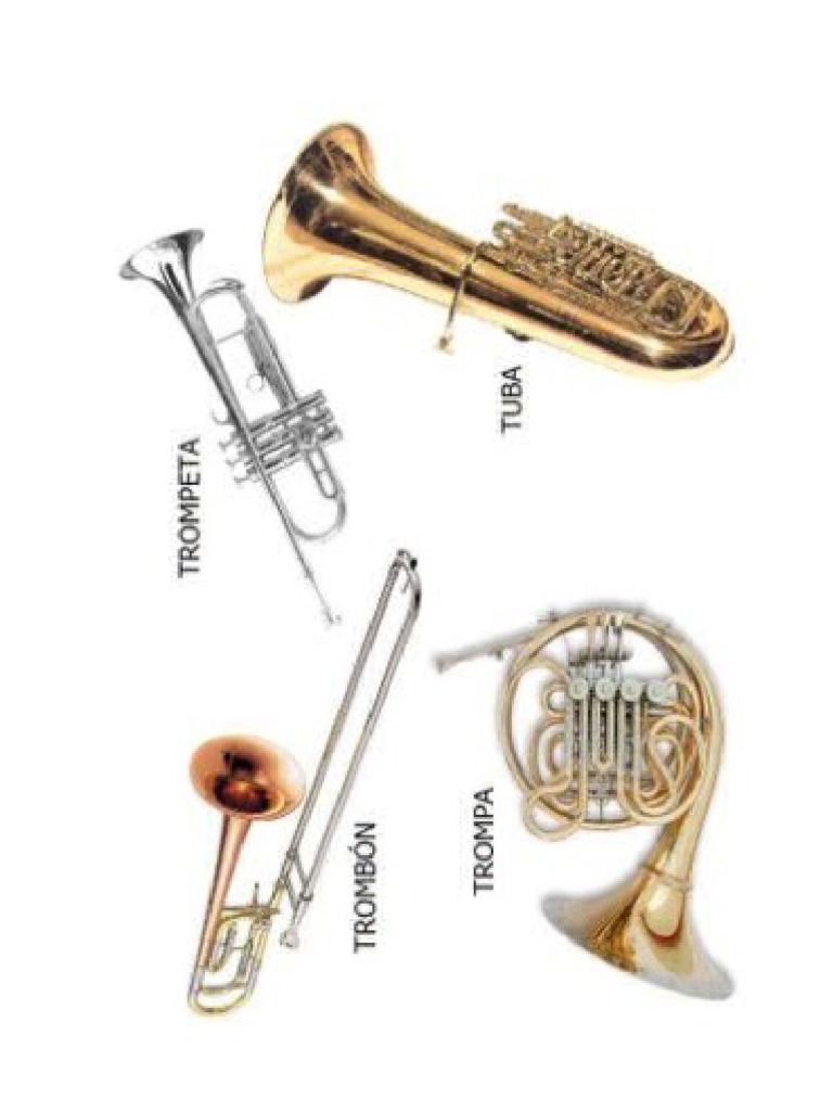 Instrumento de Viento Metal | PDF