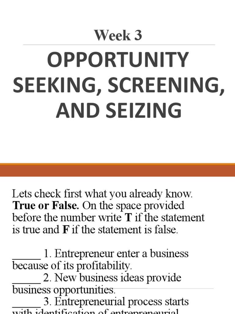 Opportunity Seeking in Entrepreneurship | PDF | Entrepreneurship ...