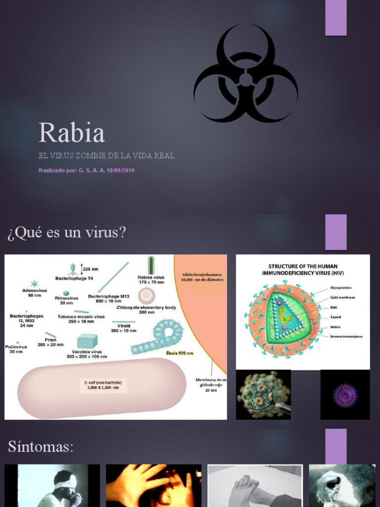 Rabia Por Sordna | PDF | Rabia | Salud pública