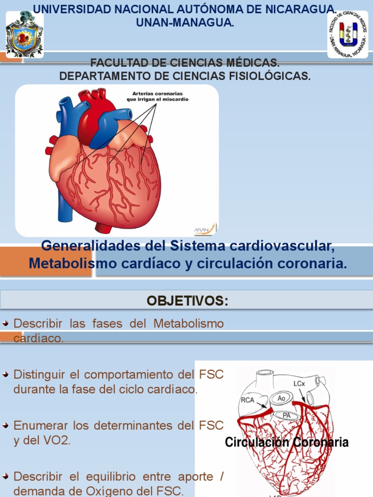 Generalidades del Sistema Cardiovascular | PDF | Sistema circulatorio | Corazón