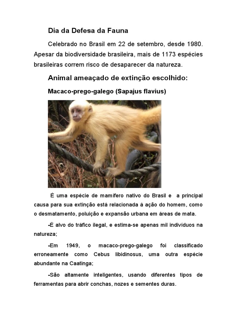 Macaco Prego Galego | PDF