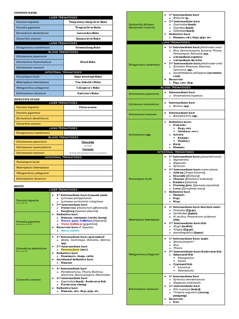 Summary Table - Trematodes | PDF | Liver | Medical Specialties