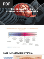 Las Uniones GAP | PDF | Músculo | Contracción muscular