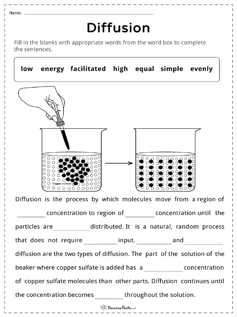 Diffusion Worksheet | PDF