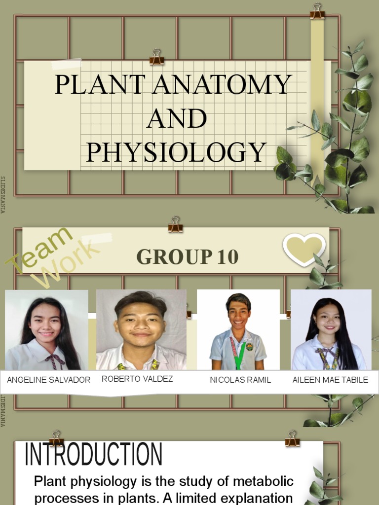 Plant Anatomy and Physiology Overview | PDF | Leaf | Photosynthesis